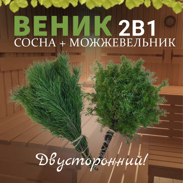 Веник для бани 2 в 1, Сосна + Можжевельник - Веник для бани, купить в ...
