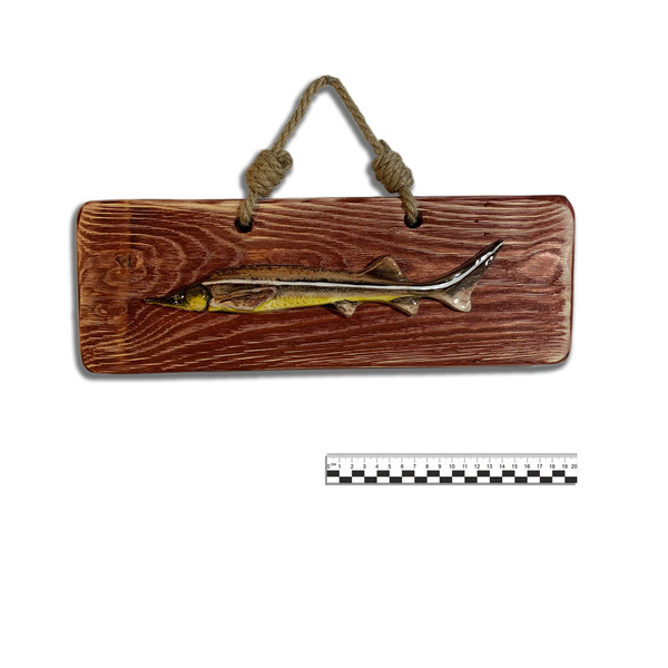 Украшение подвесное интерьерное Настенная статуэтка осетра исп 6 купить по доступным ценам в