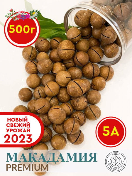 Орехи макадамия в скорлупе, в банке 500 гр, жареные, крупные ...