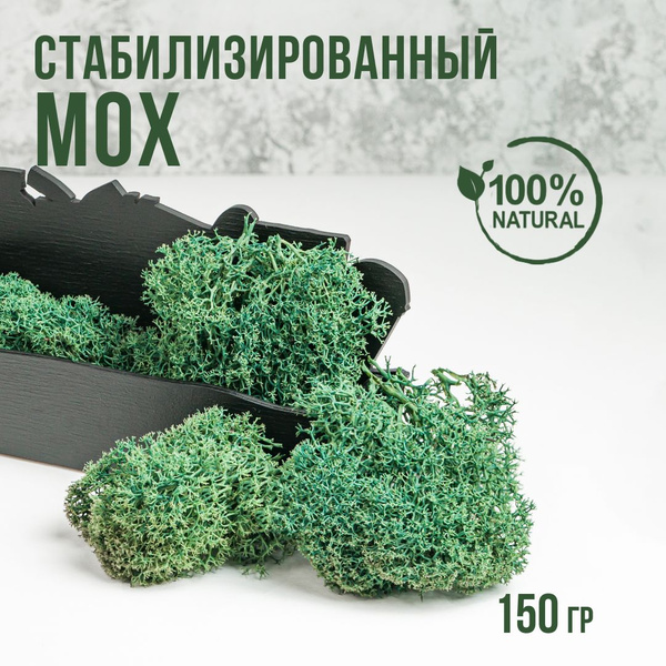 Стабилизированный мох Вежливый Кот Мох, 5 см, 150 гр, 1 шт купить по ...