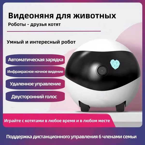 Видеоняня для животных - купить с доставкой по выгодным ценам в ...