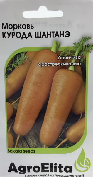 AgroElita Морковь Курода Шантанэ - купить по выгодным ценам в интернет ...