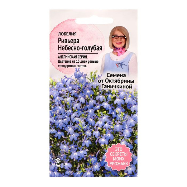 LISIK. 7737378 - купить по выгодным ценам в интернет-магазине OZON (1491684738)