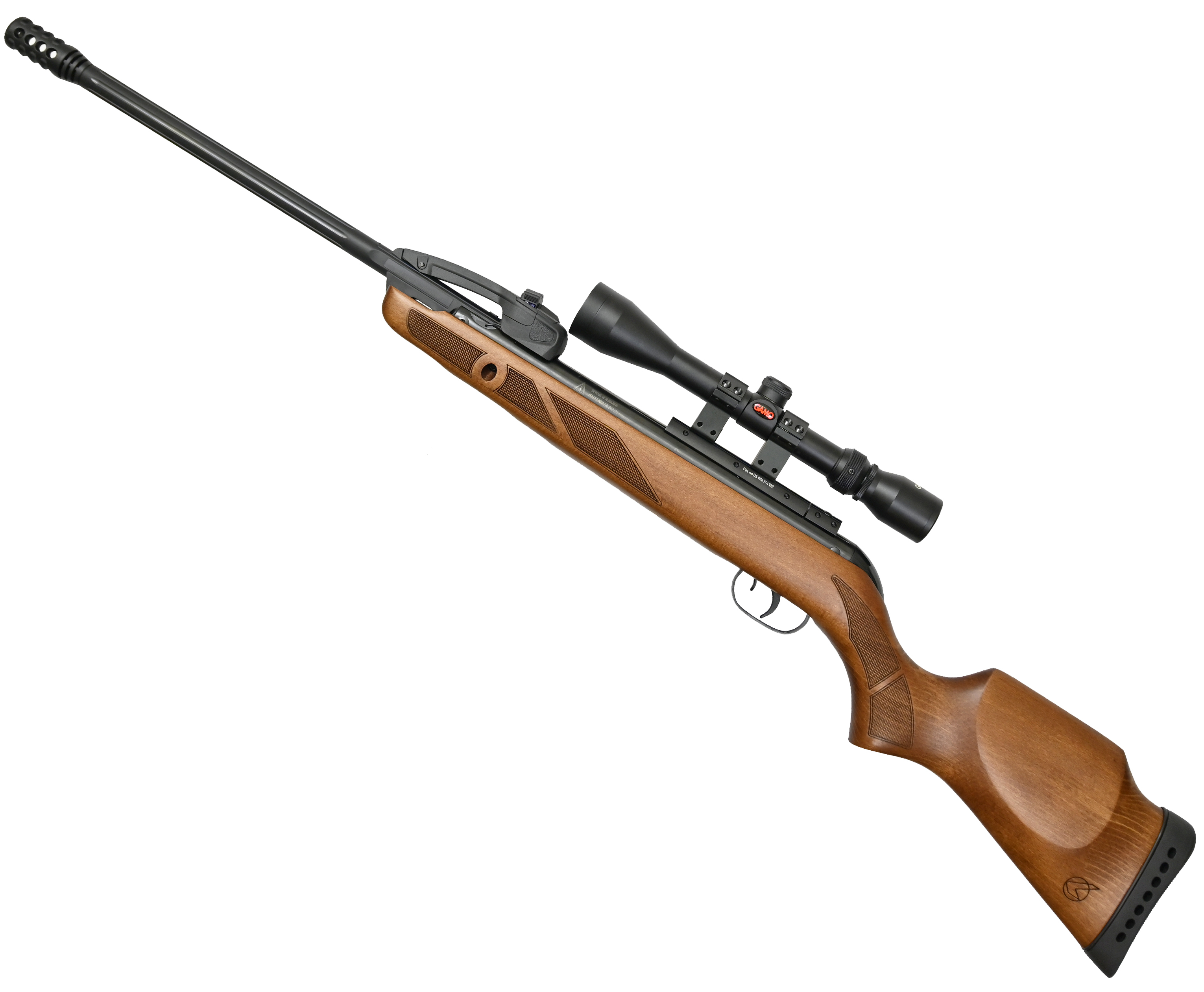Пневматическая винтовка Gamo Fast Shot 10X многозарядная (прицел 4x32 ...