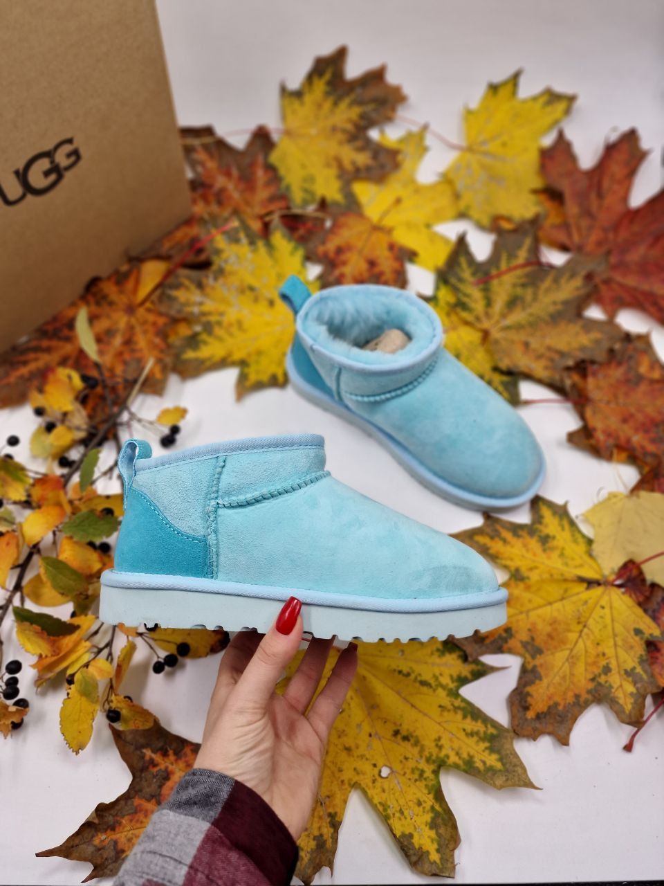 Baby blue uggs store