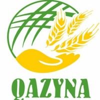 QAZYNA — купить товары QAZYNA в интернет-магазине OZON