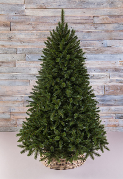 Искуственная Елка искусственная Напольная Triumph Tree Лесная Красавица 155 см - купить в ...