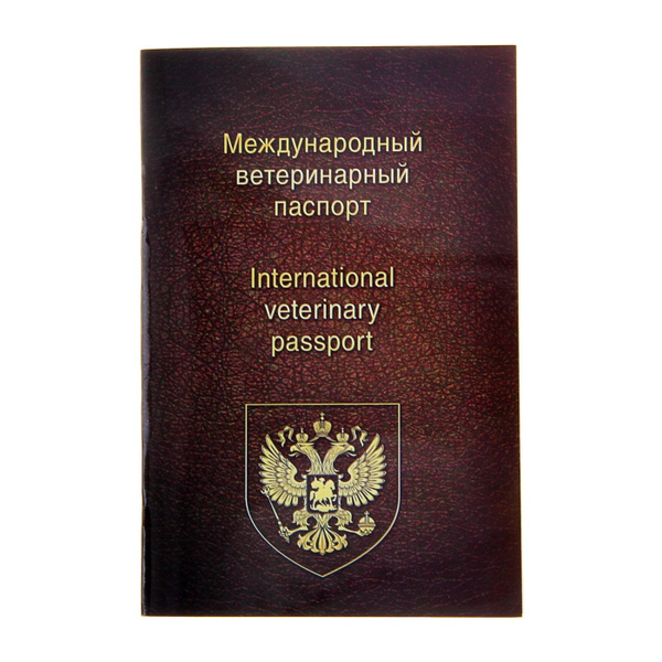 Сертификат прививок - купить с доставкой по выгодным ценам в интернет ...