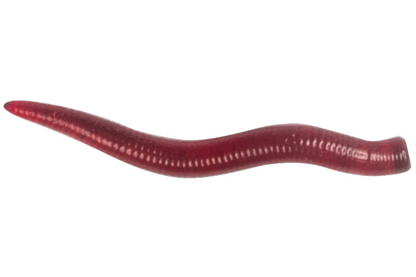Мягкая приманка LureMax CURLY WORM 2,5''/3,5см, LSCL25-019 Blood Red ...