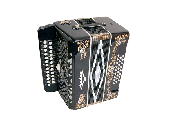 Гармонь "Чайка 314" 25х25-III-2, черная, Шуйская гармонь S5XL-A-BLACK купить на OZON по низкой ...