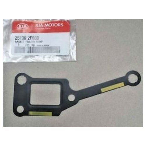 Прокладка водяного насоса Hyundai-Kia 251302F000 - Hyundai-KIA арт ...