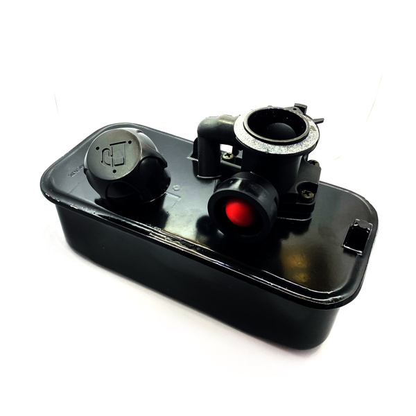 Топливный бак и карбюратор для Briggs & Stratton 494406 498809 498809A ...