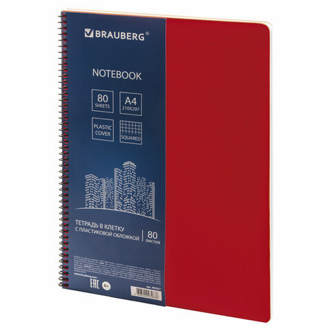 Тетрадь A4 (21 × 29.7 см), A4 (21 × 29.7 см), 6 шт., листов: 80 - купить с доставкой по выгодным ...