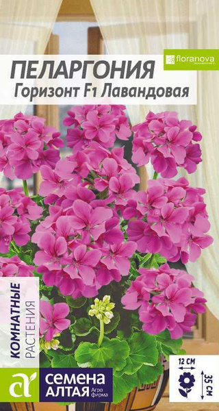 Пеларгонии (Герань) Семена Алтая ПеларгонияСемАлт_лиловый_Лавандовая ...