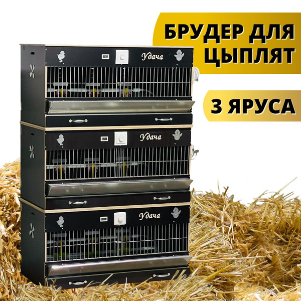 Брудер "Удача" для цыплят, перепелов с поилкой и кормушкой - купить с ...