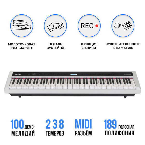 Цифровое пианино TESLER STZ-8800 WHITE купить на OZON по низкой цене ...