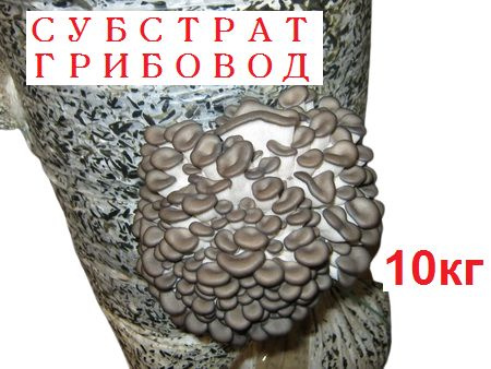 Субстрат Грибовод 10 кг из гранулированной лузги подсолнечника для ...
