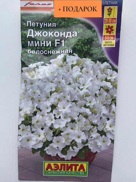 Петунии АЭлита Петуния Джоконда мини белоснежная - купить по выгодным ...