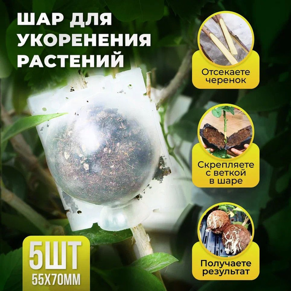 Шар для укоренения растений, Коробка для черенкования и развития ...