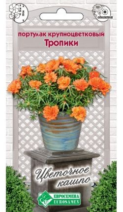 Портулак крупноцветковый Евросемена НФ-00012831 - купить по выгодным ...