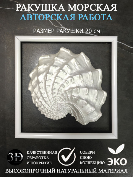 Украшение настенное интерьерное New3dart Морская ракушка вихрь купить по доступным ценам в