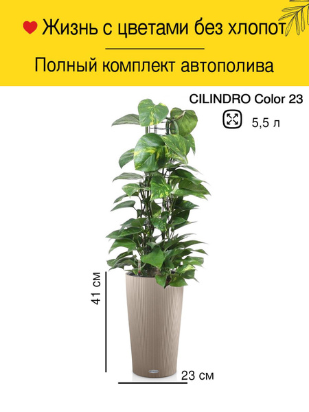 LECHUZA CILINDRO Color 23 Кашпо с автополивом / кашпо для цветов ...