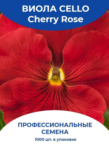 Виолы, анютины глазки HEM GENETICS B.V. Виола Cello Cherry Rose ...