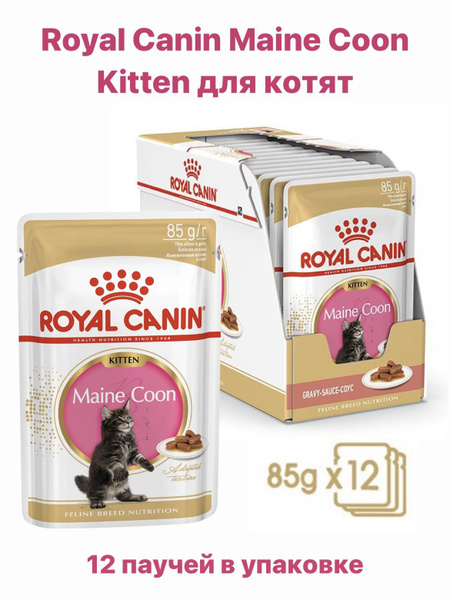 ROYAL CANIN Maine Coon Kitten влажный корм для котят породы мейн кун ...