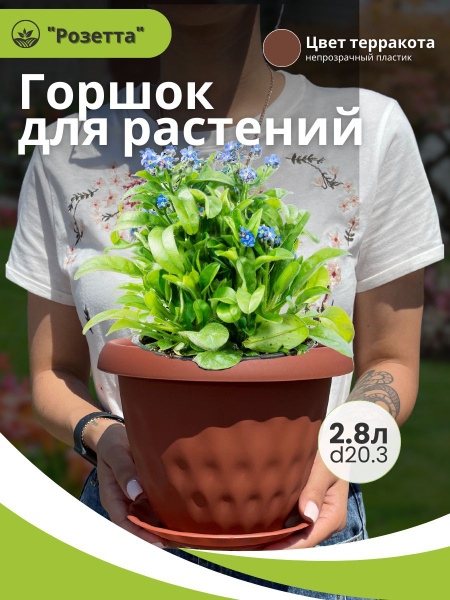 Горшок для цветов РОЗЕТТА с поддоном d200мм 2,8л терракот - купить с ...