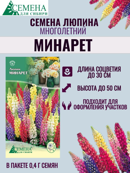 Люпин, Люпины многолетние Сибирские семена MODEL_d553ad3f1d_1 - купить ...