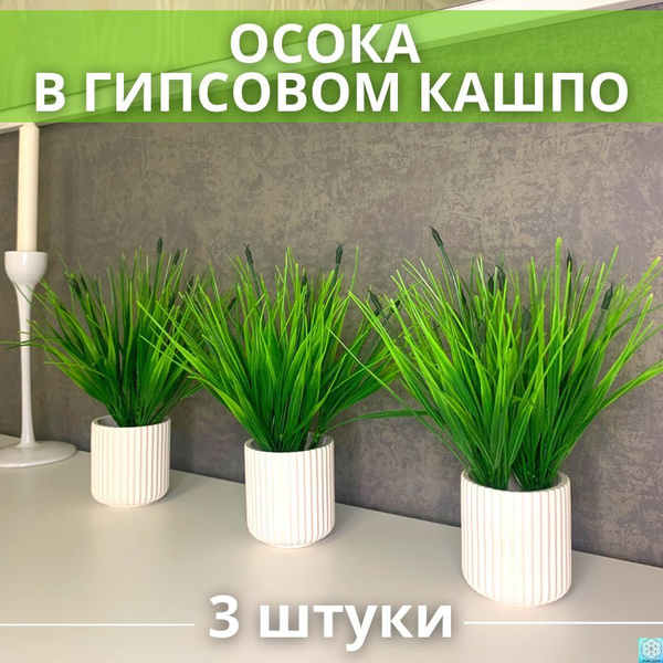 Купить Искусственная ОСОКА в гипсовом кашпо по выгодной цене в интернет ...