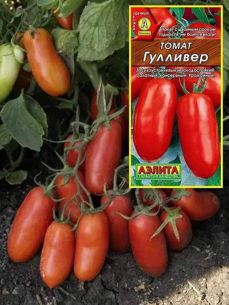 Томаты Агрофирма Аэлита т3 - купить по выгодным ценам в интернет ...