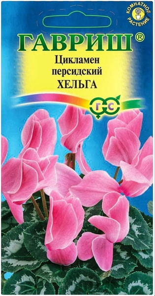 Цикламены Гавриш Цикламен - купить по выгодным ценам в интернет ...