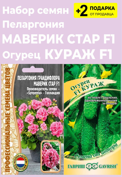 Пеларгонии (Герань), Огурцы For Home And Family Пеларгония грандифлора ...