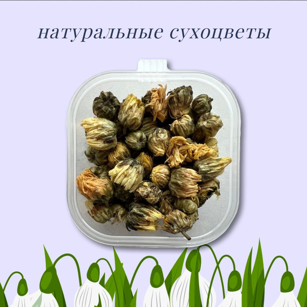 Сухоцветы для творчества MISHURA хризантема - купить с доставкой по ...