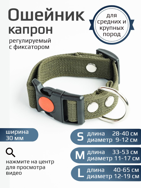 Ошейник для собак средних и крупных пород 30 мм купить с доставкой по