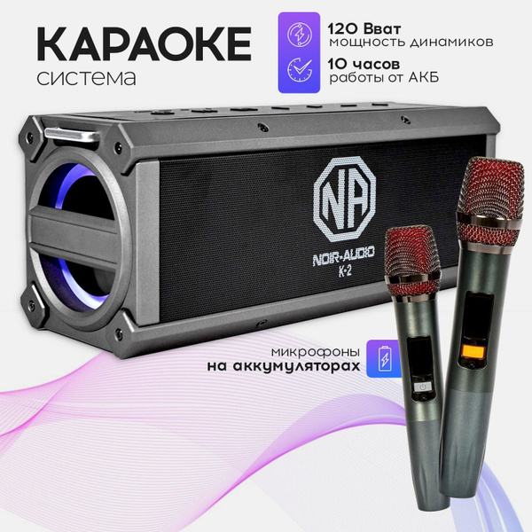 Караоке система NOIR-audio K-2 с двумя беспроводными перезаряжаемыми ...