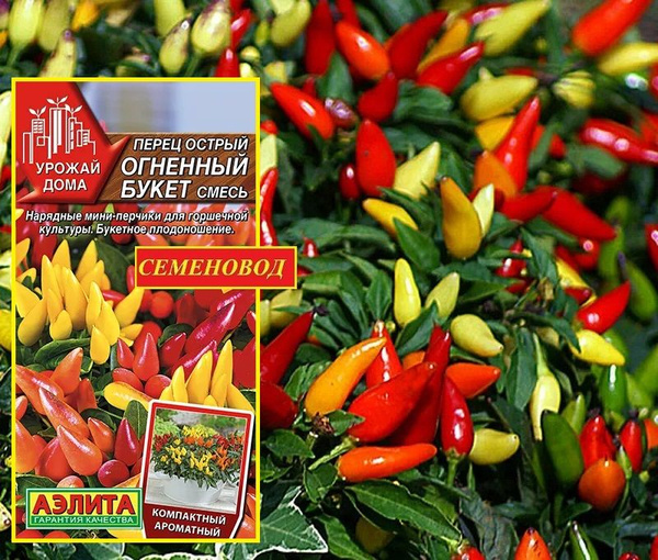 Перец острый Агрофирма Аэлита Перец. - купить по выгодным ценам в ...
