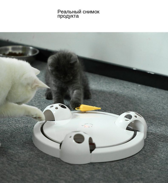 Интерактивная игрушка для кошек Meow Meow Crazy Disc купить на OZON по ...