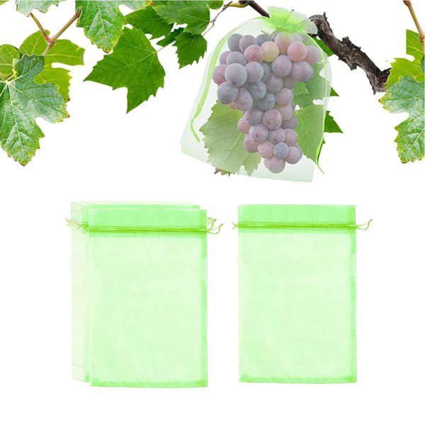 Защитные мешки для фруктовых деревьев Сетчатые мешки 20смх30см - купить ...