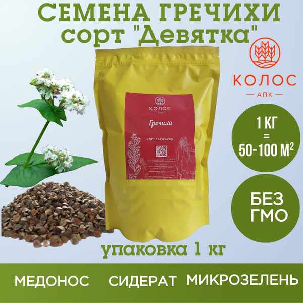 Семена гречихи сорт "Девятка" уп. 1 кг. Медонос, Сидерат, Микрозелень ...