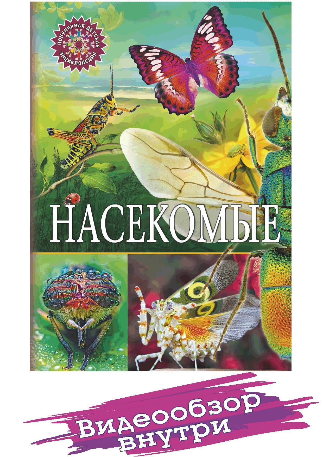 Насекомые. Популярная детская энциклопедия. Детские книги. Первая ...