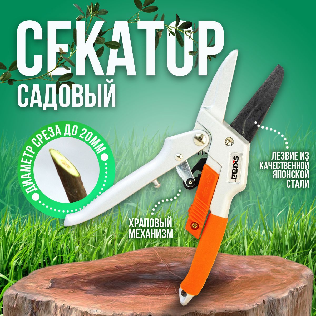 Статистика продаж на Озон, аналитика продаж товаров конкурентов на Ozon