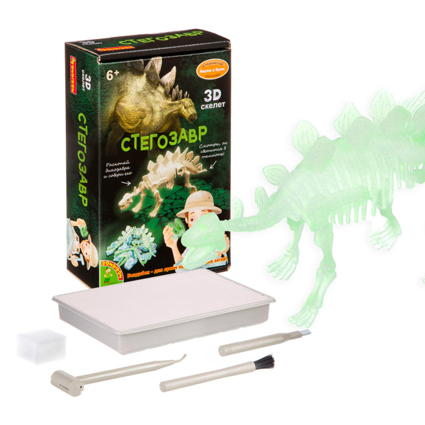 Исторические раскопки Науки с Буки Bondibon 3D / Стегозавр / Динозавры / Светится в темноте ...