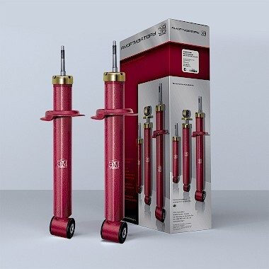 Амортизаторы задней подвески для а/м ВАЗ 2110, 1119 EM20896 (аналог SS20) комплект - купить по ...