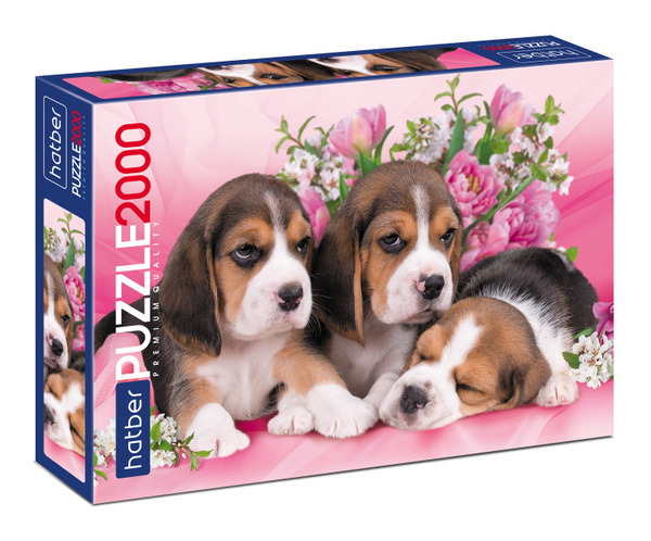Пазлы Hatber Premium 2000 элементов А1ф 980х680мм Щенки - купить с доставкой по выгодным ценам в ...