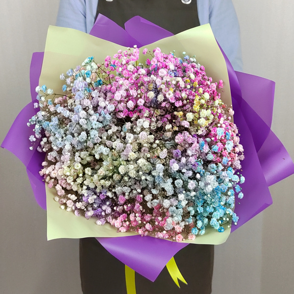 Гипсофила ALMOND ROSES, цвет разноцветный, 7 шт купить по выгодной цене ...