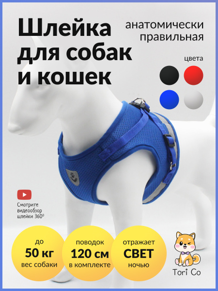 Шлейка для собак и кошек / амуниция для прогулки / прогулочная упряжь ...