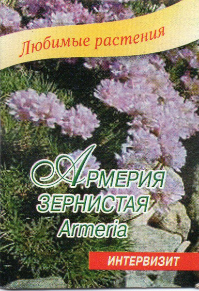 Многолетники для альпийской горки Интервизит цветов многолетних ...