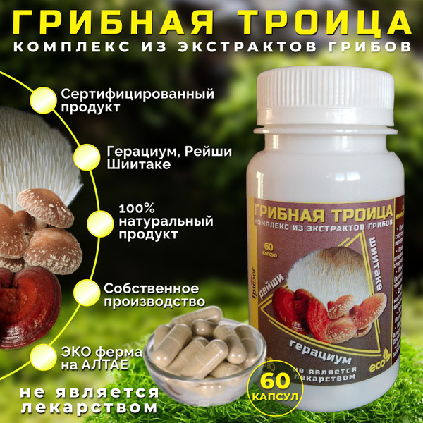 ГриБоК Грибы сушеные Рейши, Шиитаке 45г. 1шт. купить на OZON по низкой ...